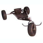 Stainless Steel Buggies - TrikeBuggy.com