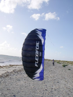 Flexifoil Rage Traction Kite - www.TrikeBuggy.com